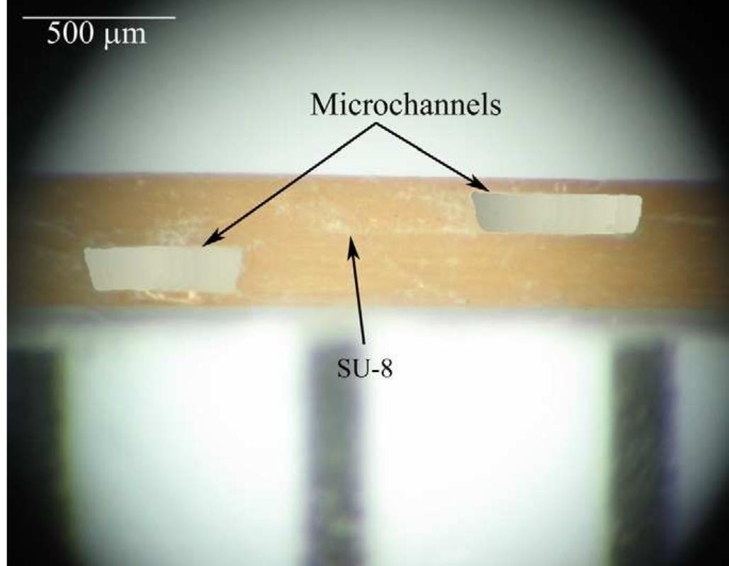 Microscopic image of the 500 wm x 120 wm microchannel with