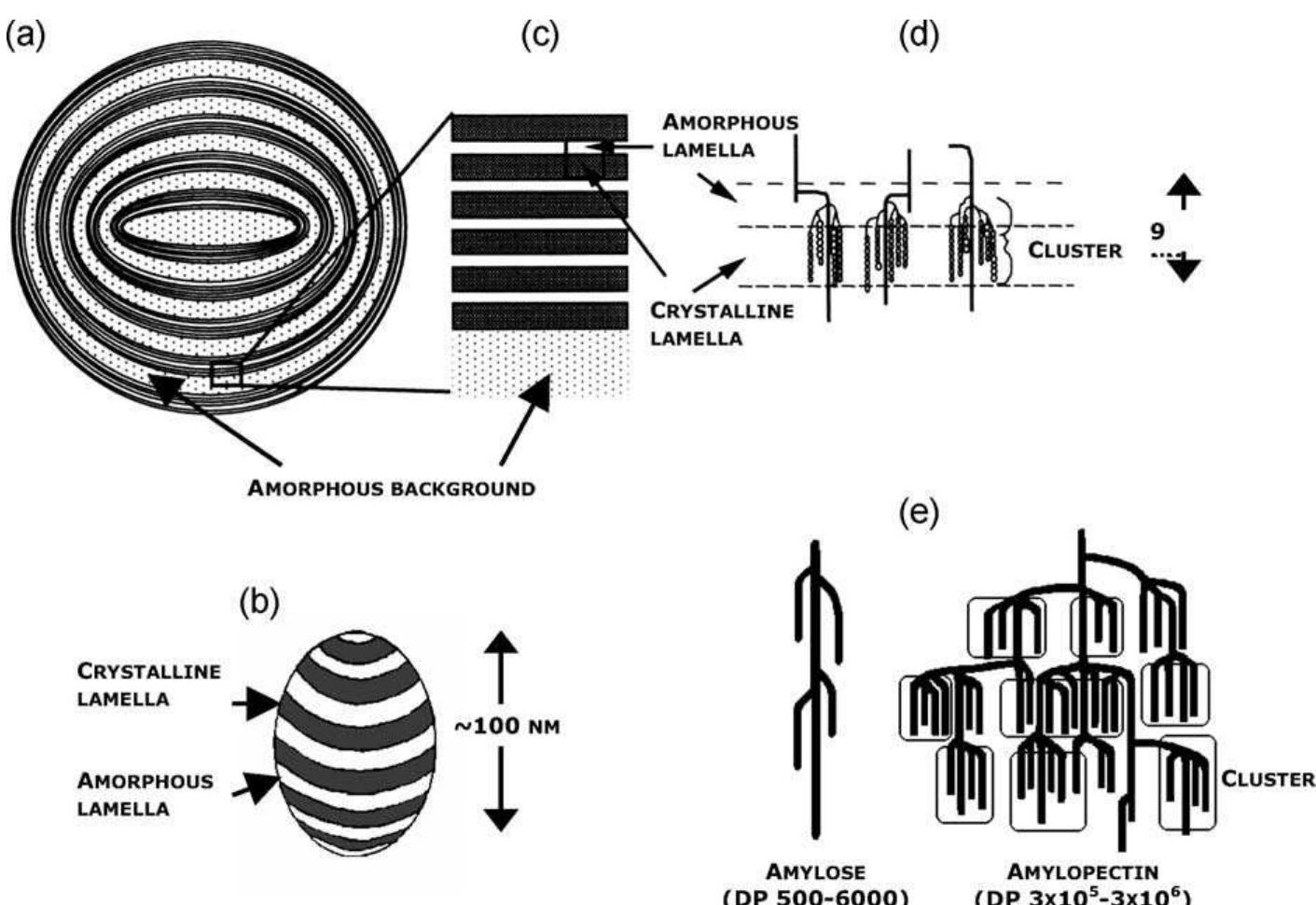 Schematic representation of different structural levels of a