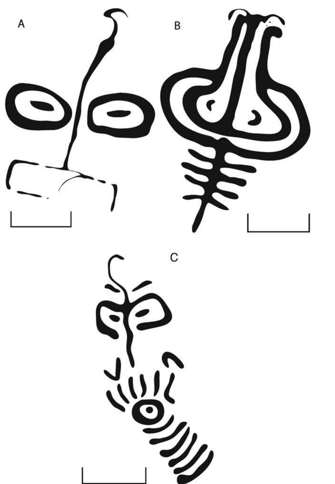 Possible eyes at graef site. note nested curves (10c, bottom