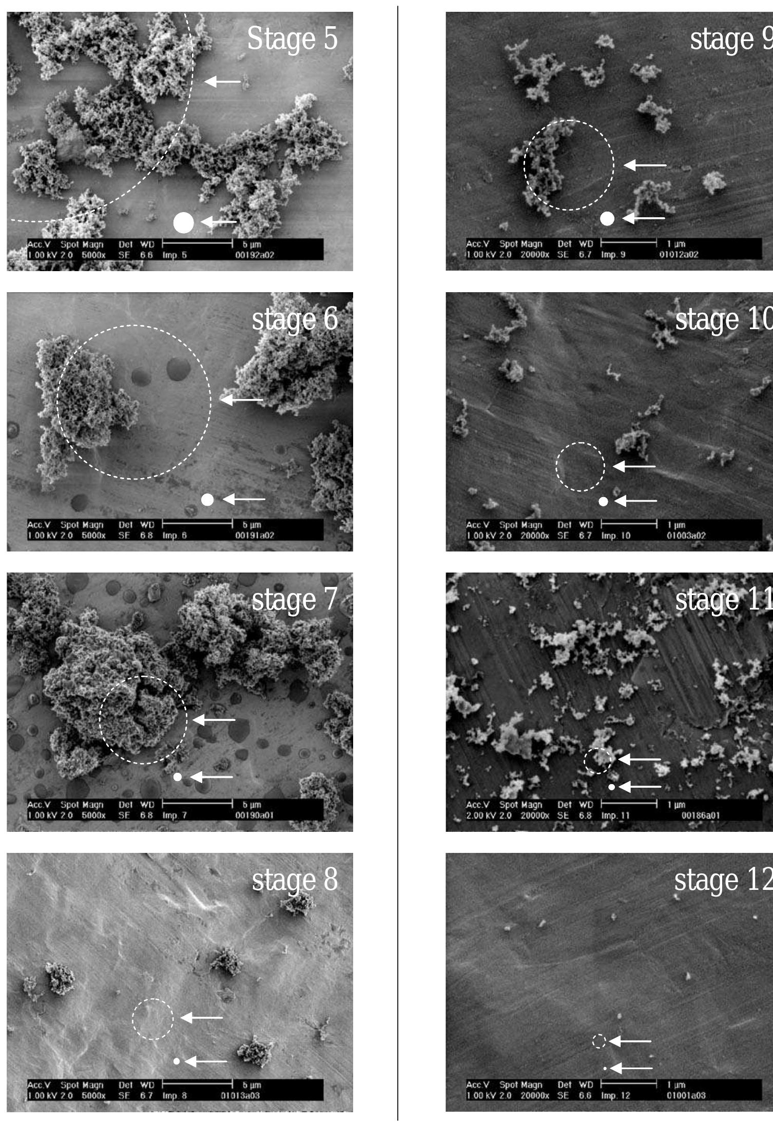 Diesel soot on the elpi-impactor stages 5—8 (5000) and