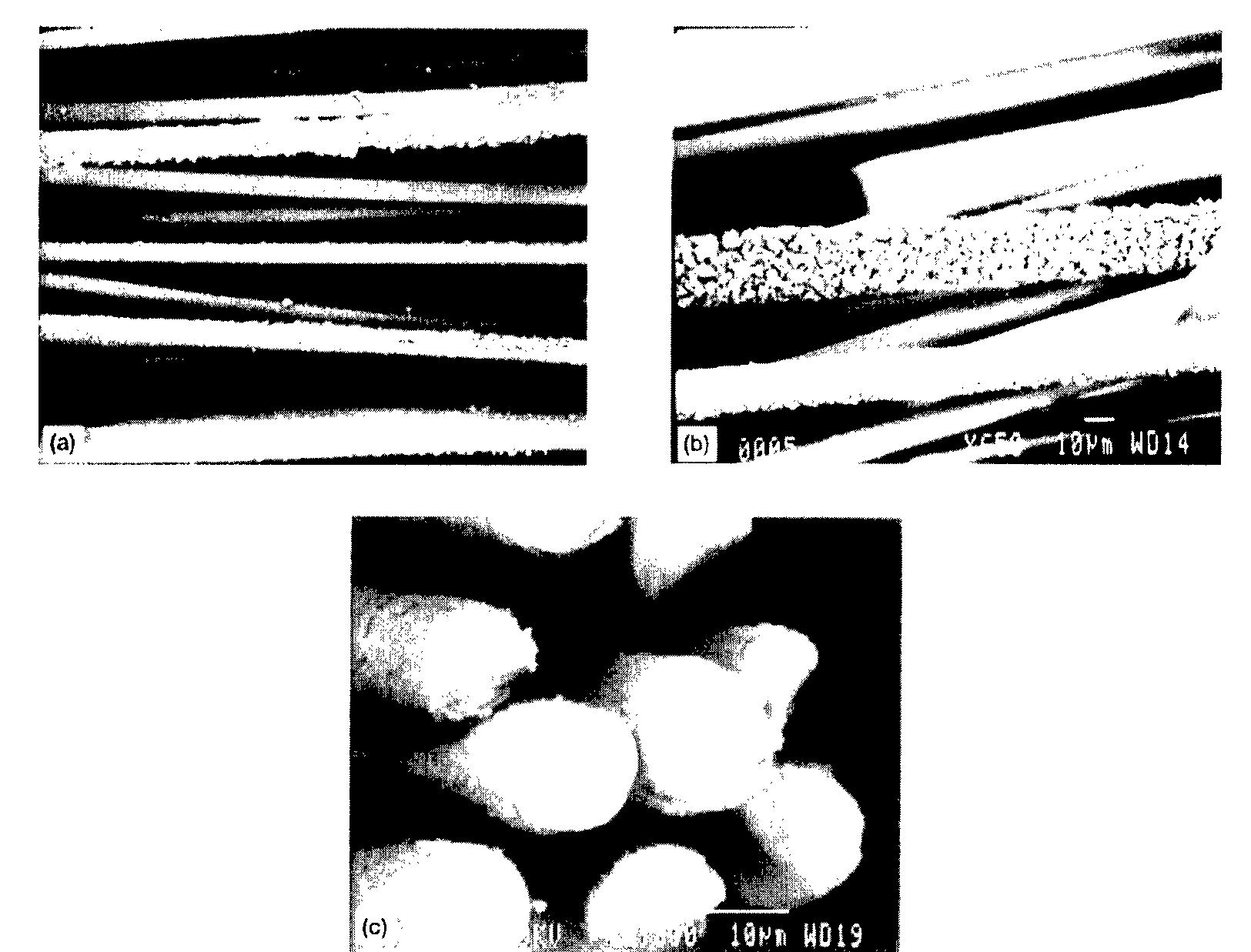 Sem micrographs showing surface and cross-section of bn/sic