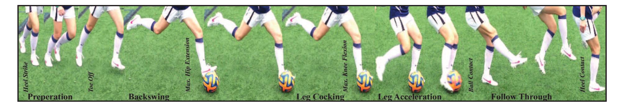 The phases of kicking at backswing the arm of the support