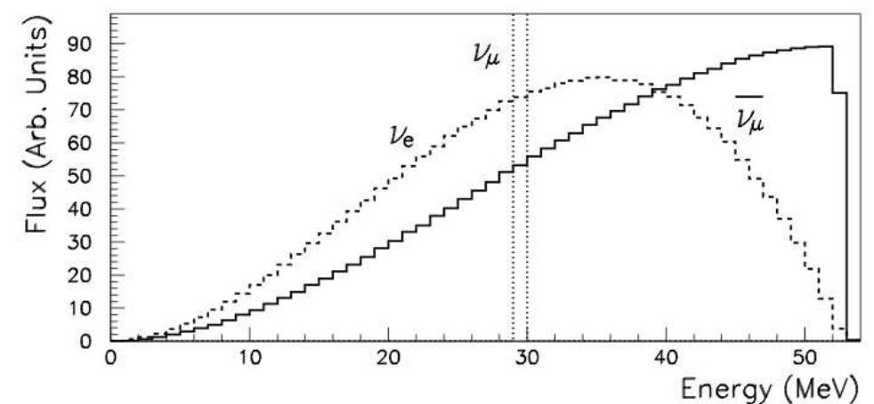 Monoenergetic vy, as well as spectra of ve and v, are