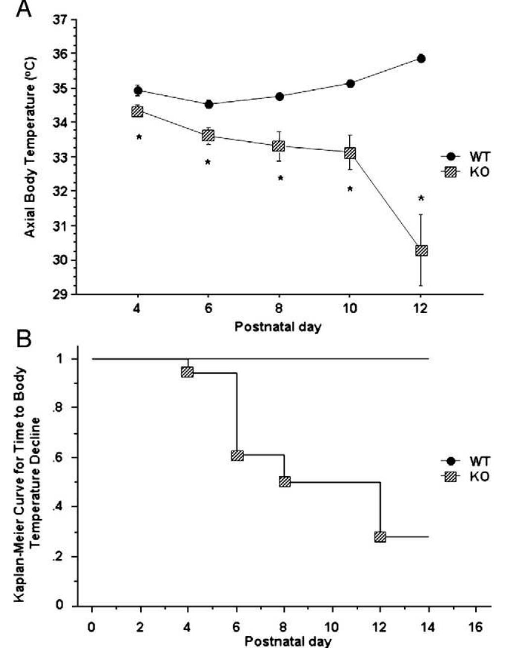 Axial body temperature for wt, het and ko mice from po to