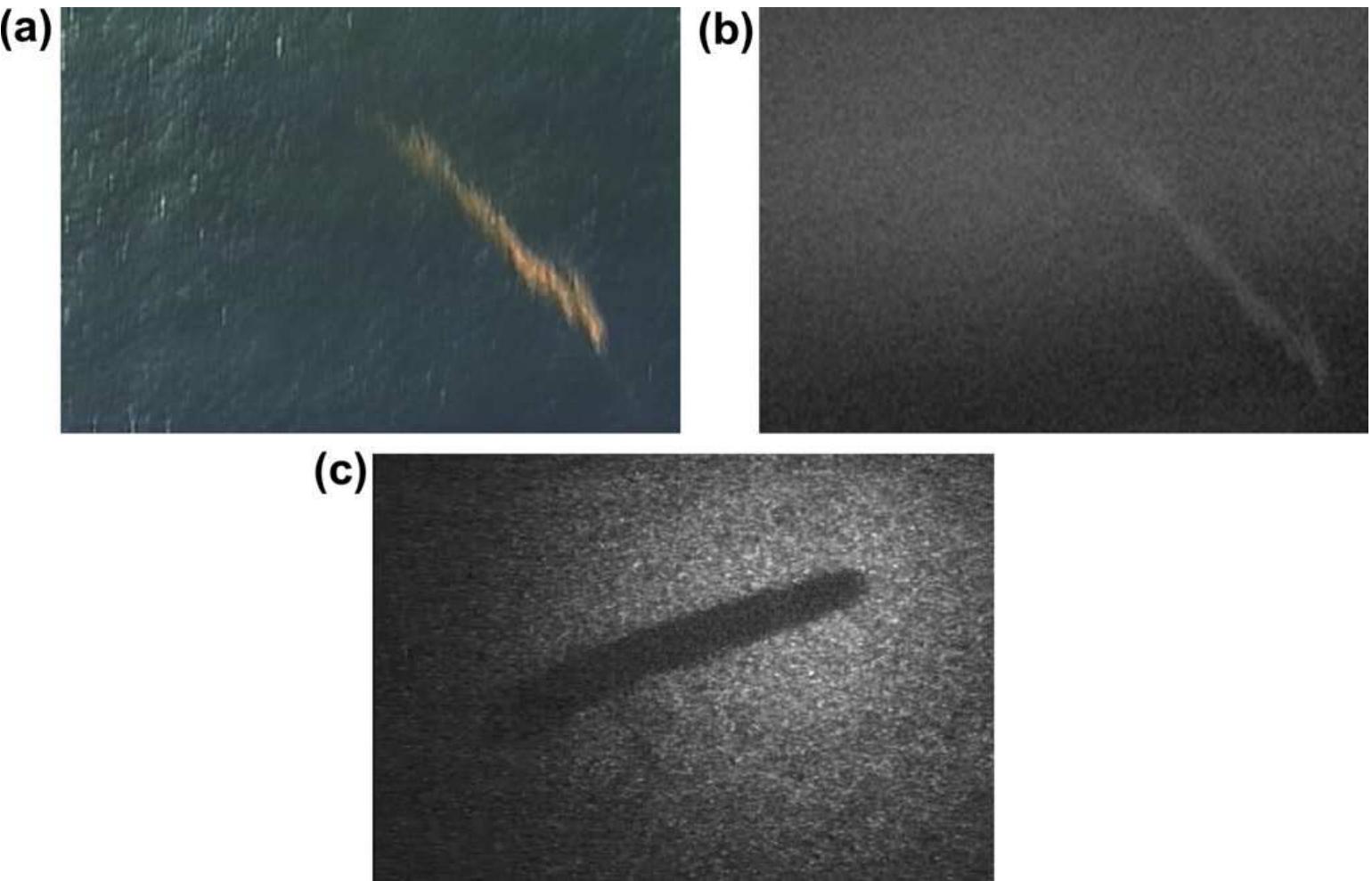 Examples of images taken from the aircraft sensors used in