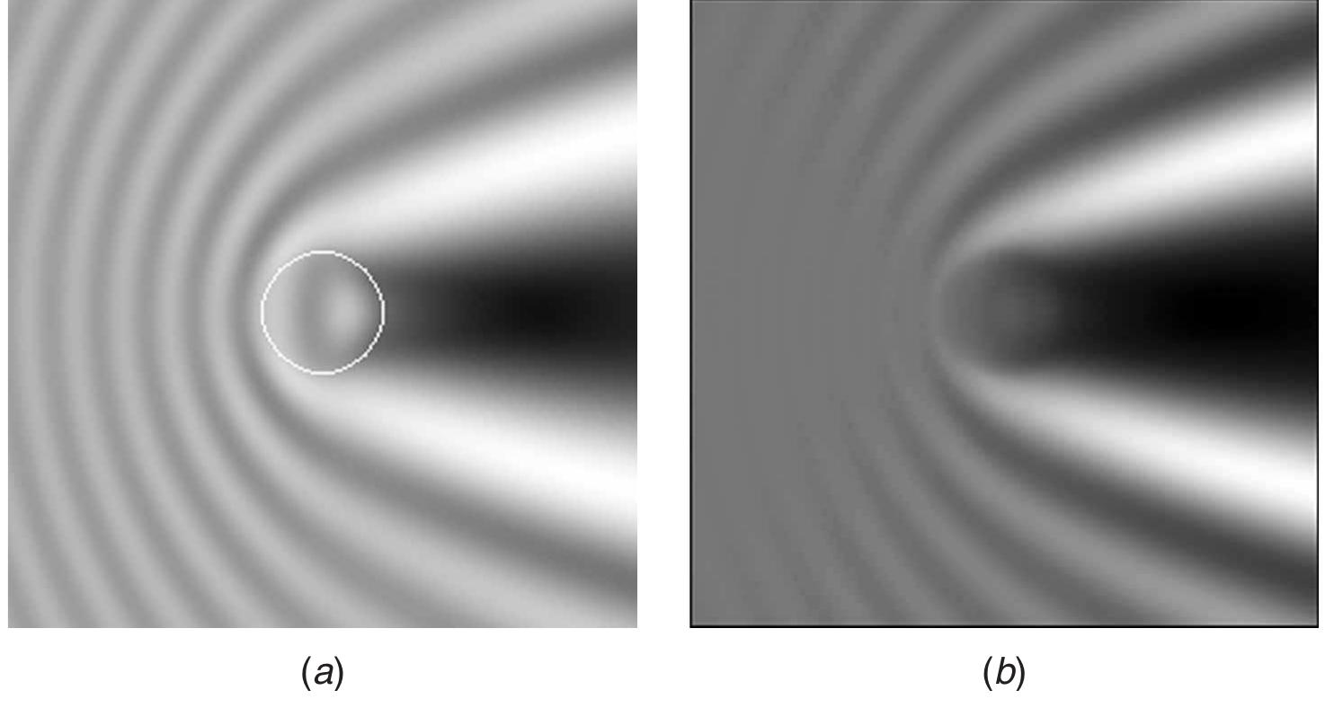 (a) the modulus of the electric field strength |f\(y,z)| and