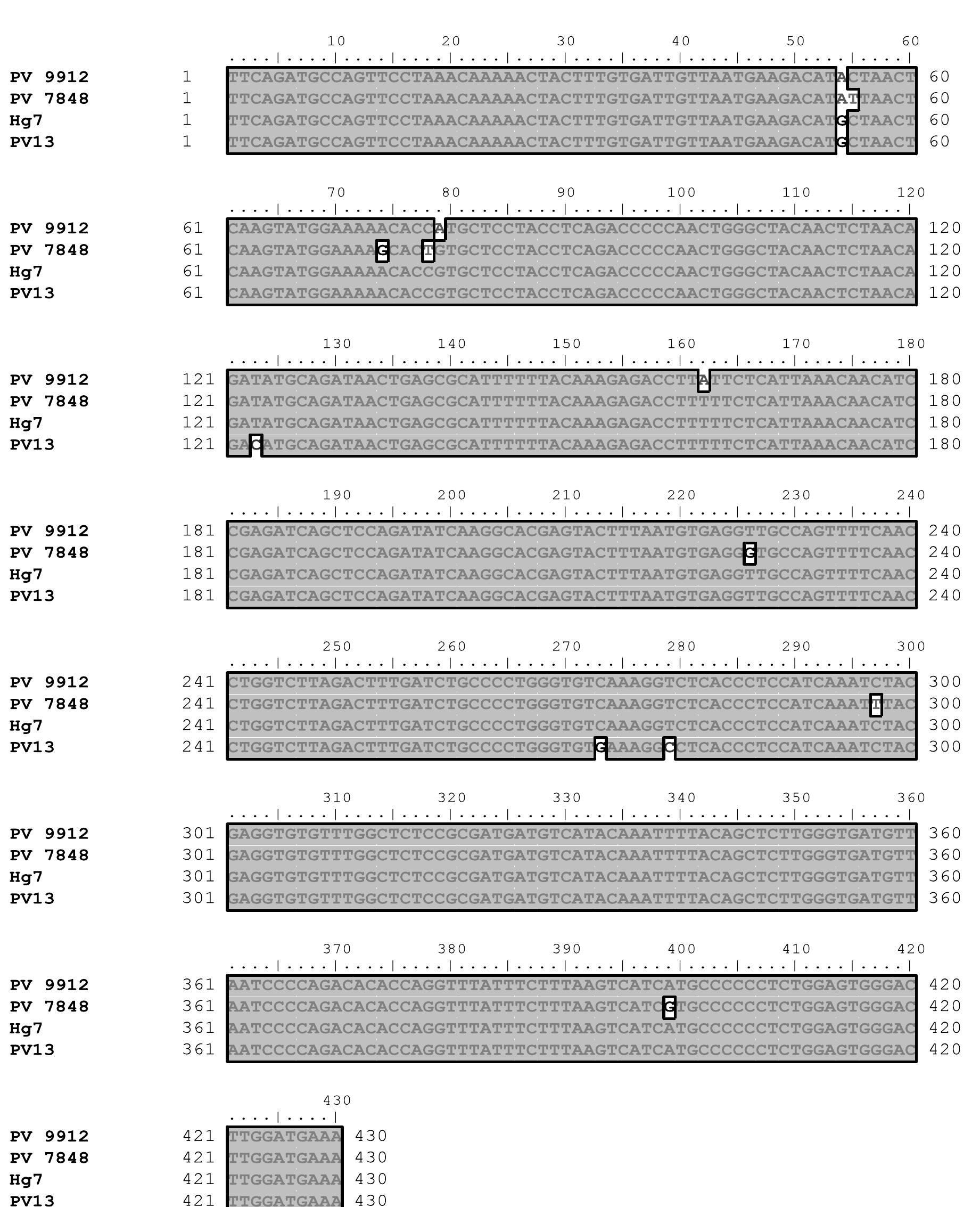 Nucleotide (a) and deduced amino acid (b) sequence alignment
