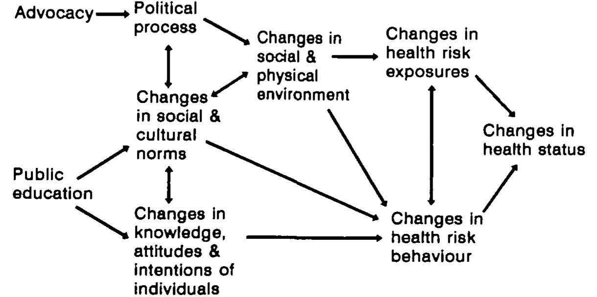 An effect model for health promotion. adapted from borland