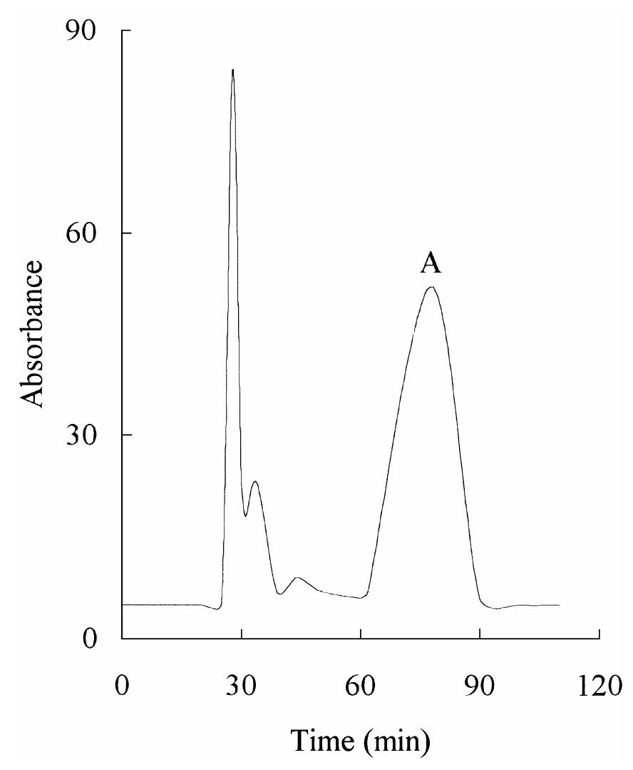 Chromatogram of crude lutein from the microalga chlorel- la