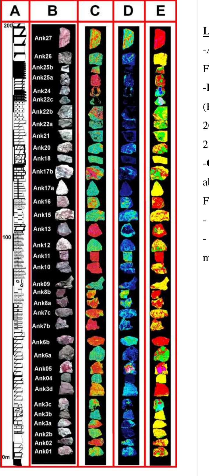 Ndci calculation and output classification map sam on all