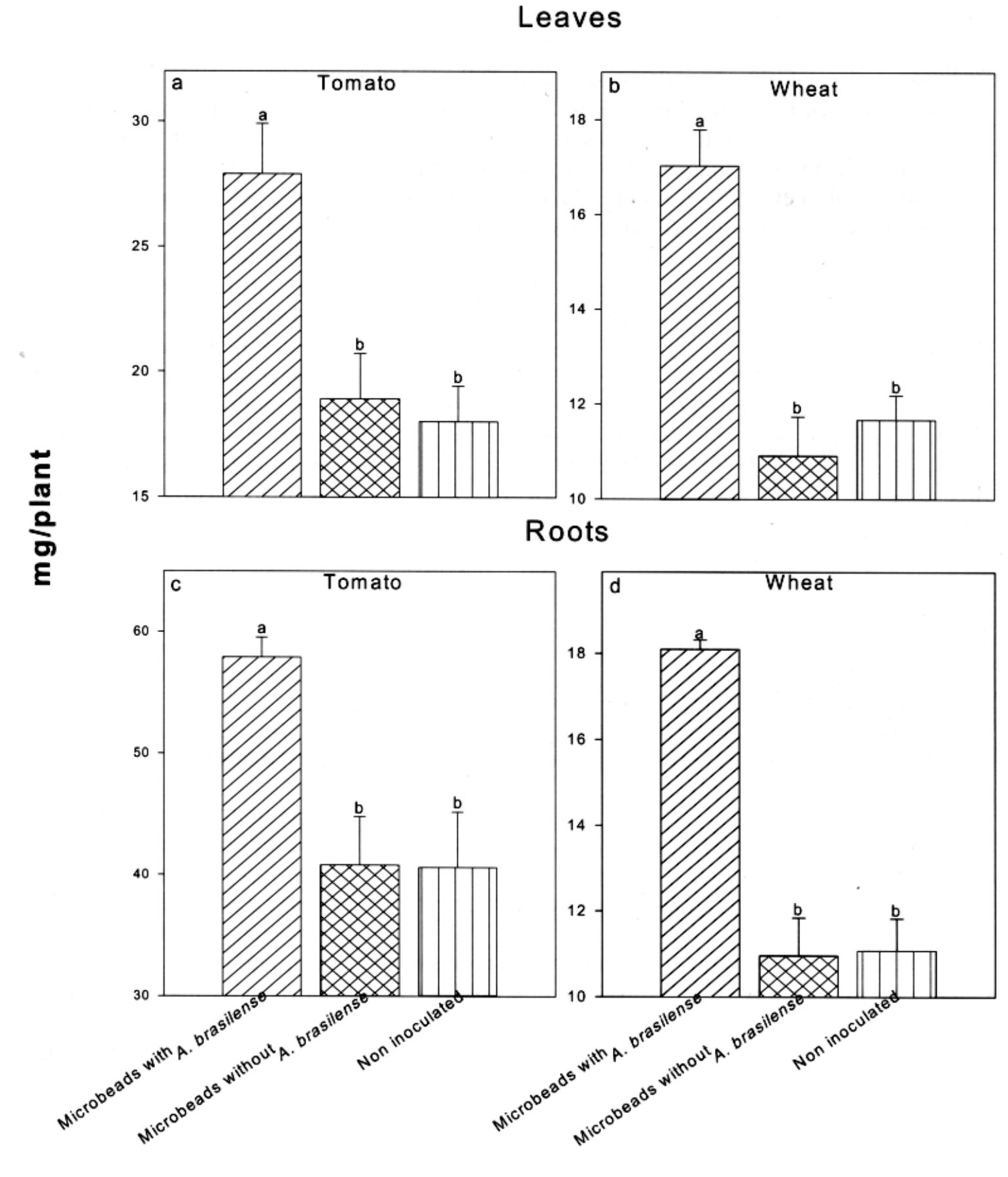Figure 7 - from Alginate microbeads as inoculant carriers