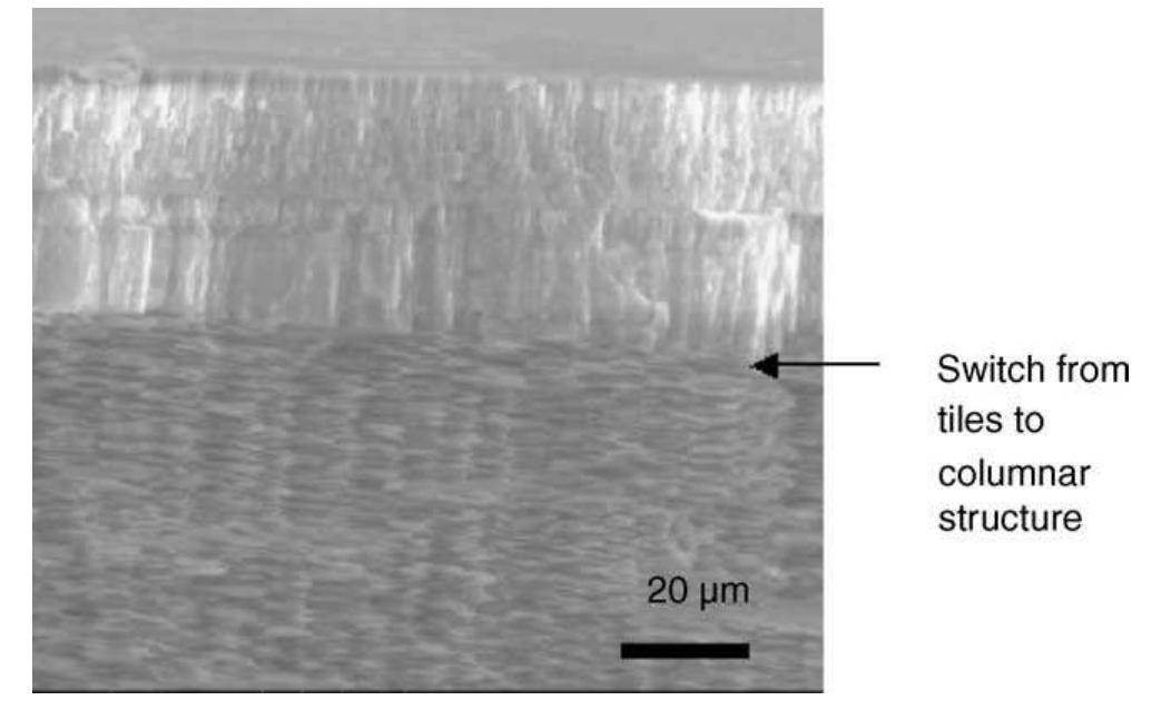 Sem micrograph of cross-sectional fracture surface of green
