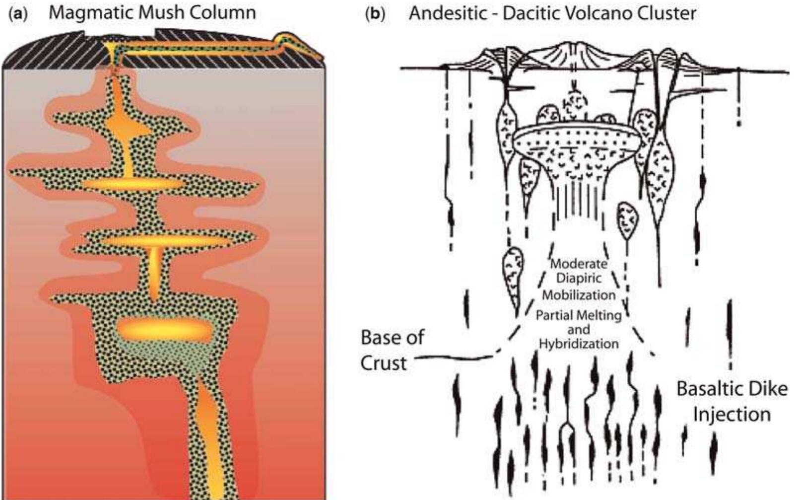 (a) the cartoon depicts a ‘magmatic mush column’, where