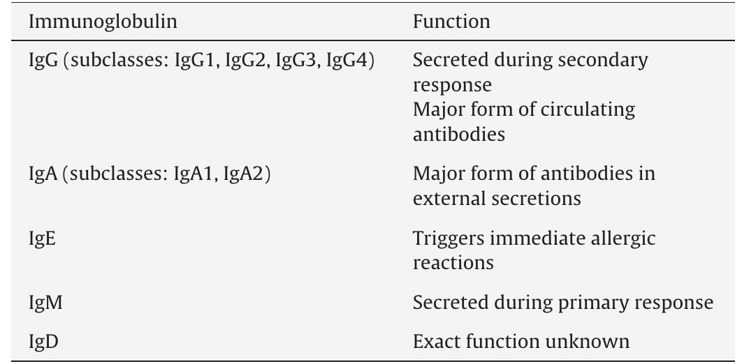 Immunoglobulin (ig) isotypes and their functions. table 2