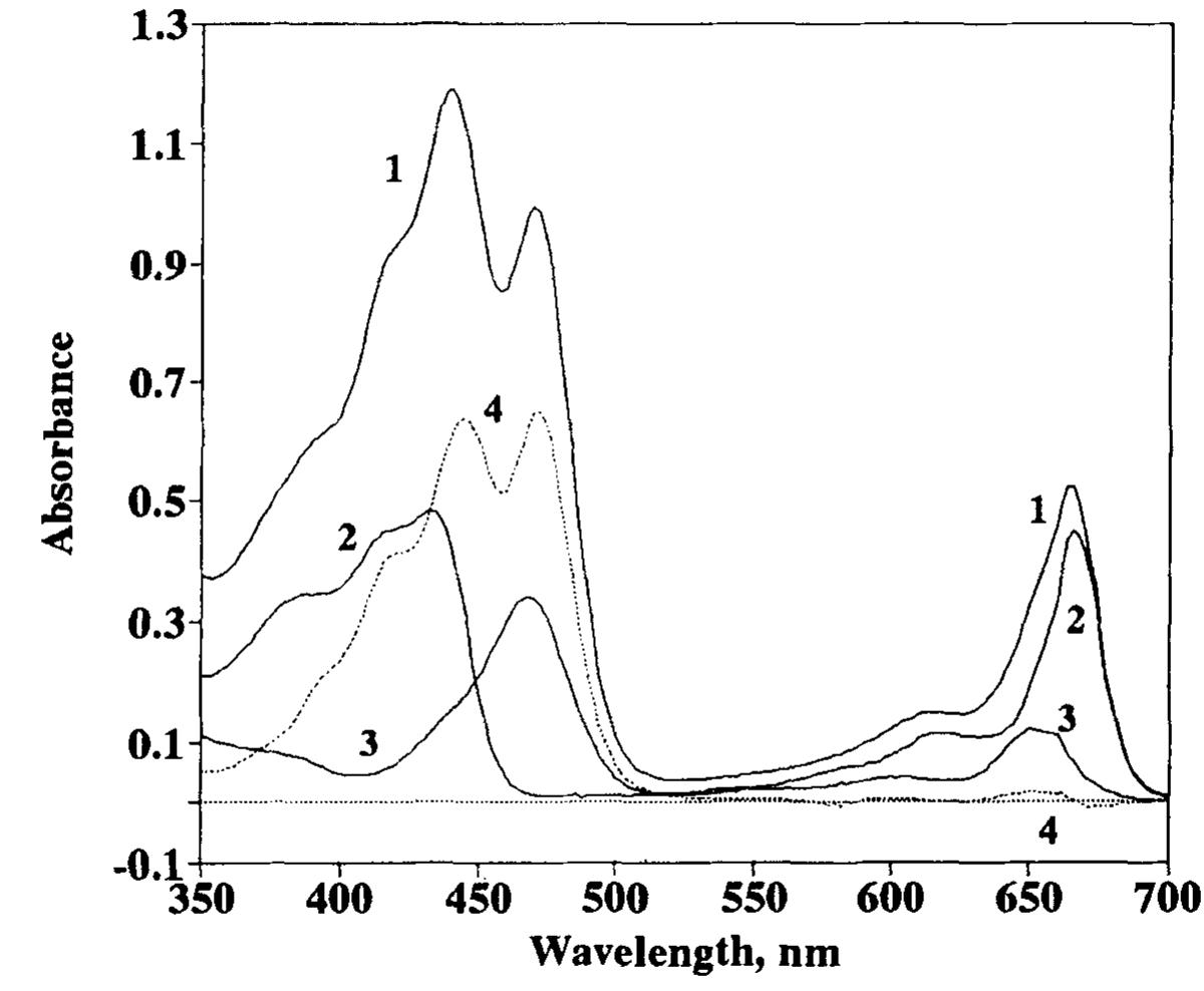 Figure 5 - from Spectrophotometric Analysis of Carotenoids