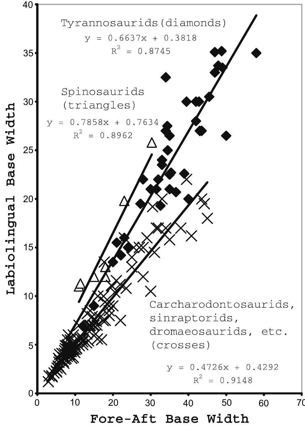 Maxillary and dentary teeth of various theropods, showing