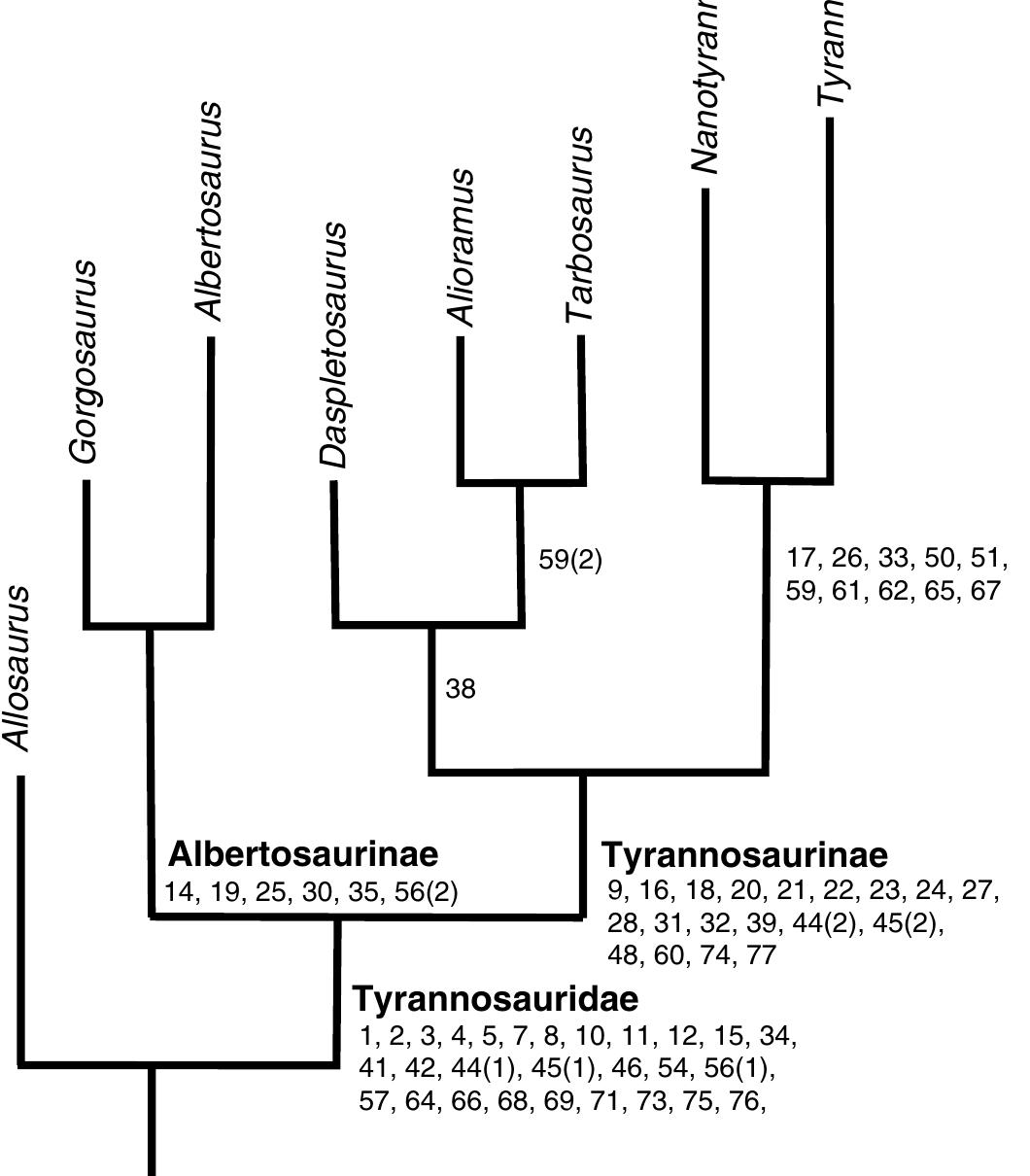 (PDF) Skull structure and evolution in tyrannosaurid dinosaurs