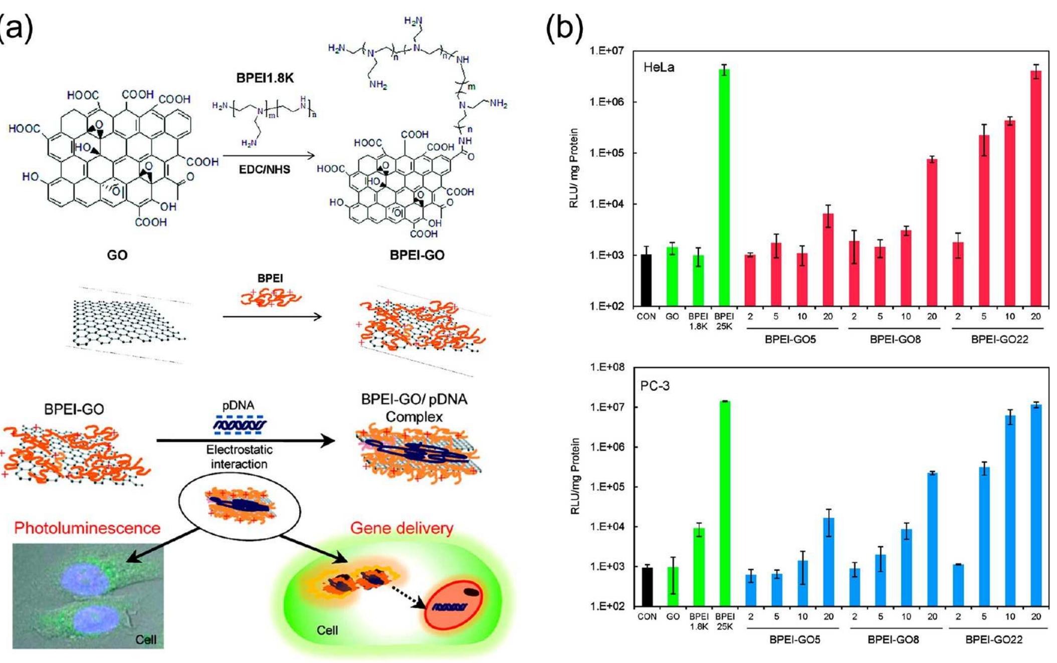 (a) schemes of bpei-go complex with electrostatically