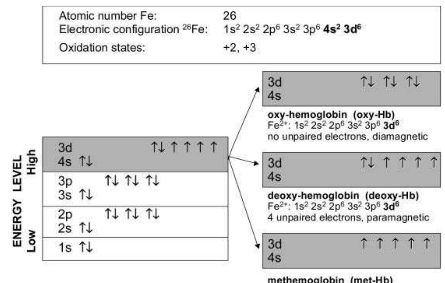 Talization of met-hb and the increased water content of the