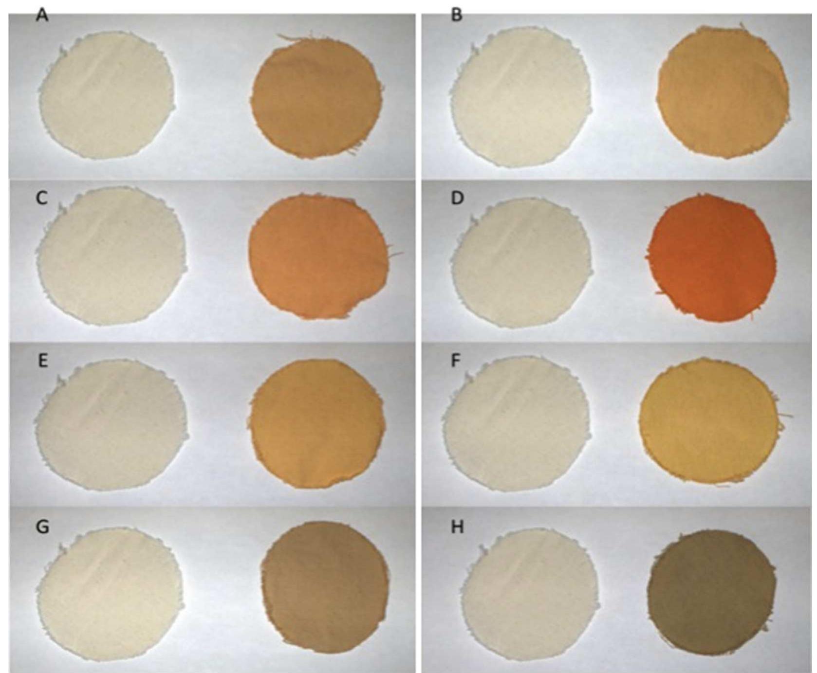 (PDF) Characterization and dyeing potential of colorant-bearing plants ...
