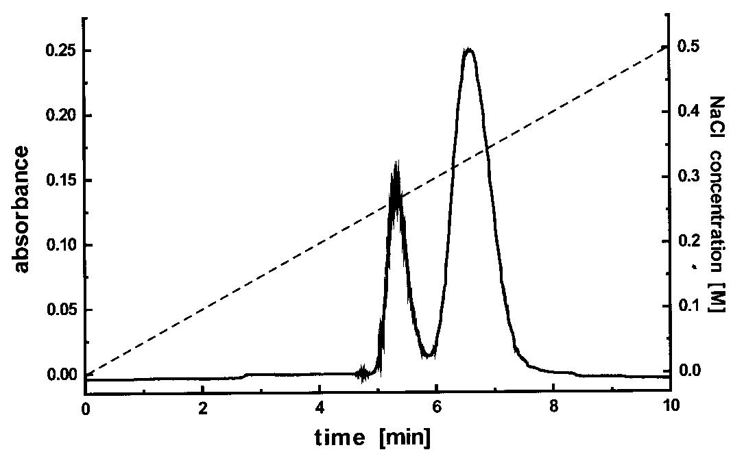 Anion exchange chromatography (poros 20 hq) with ddm as