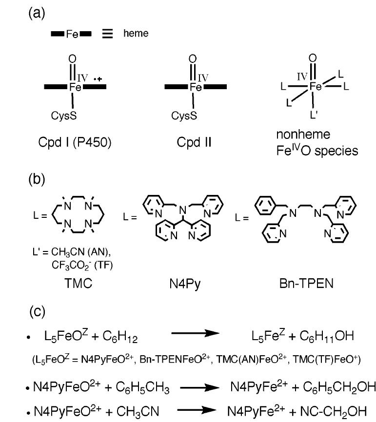 Figure 1 - from Two-State Reactivity in Alkane Hydroxylation