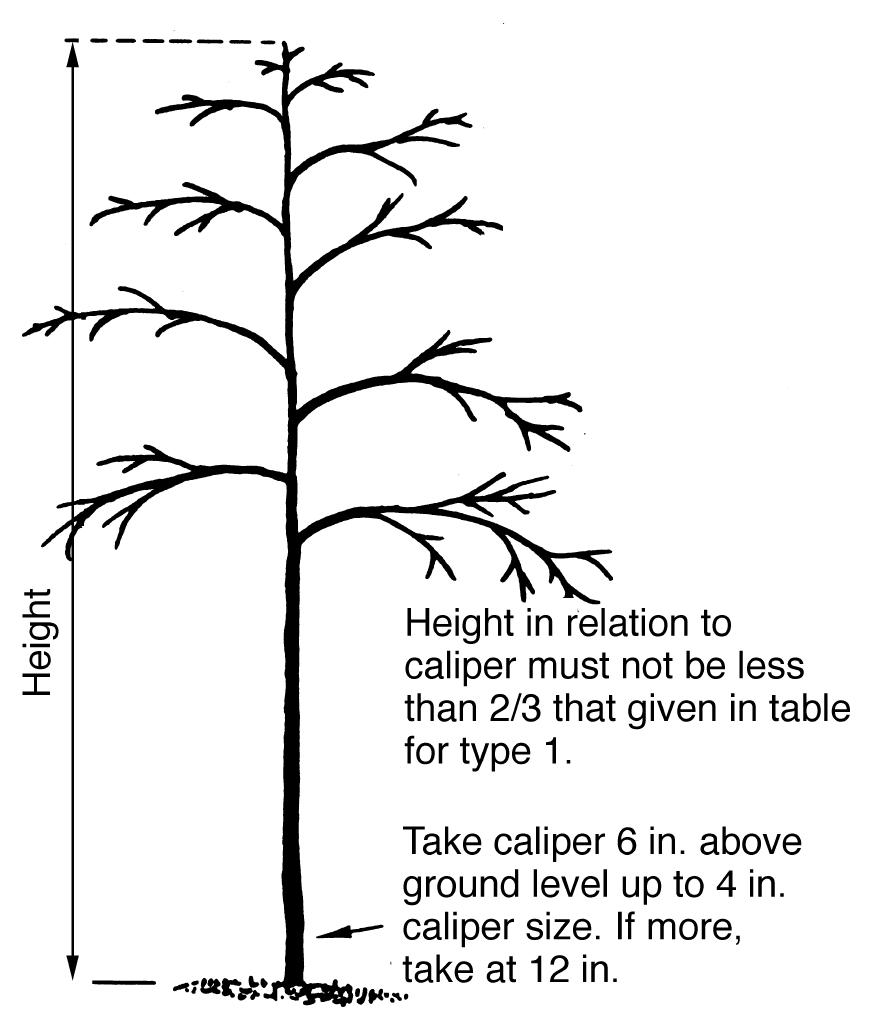 (PDF) American Standard for Nursery Stock published by
