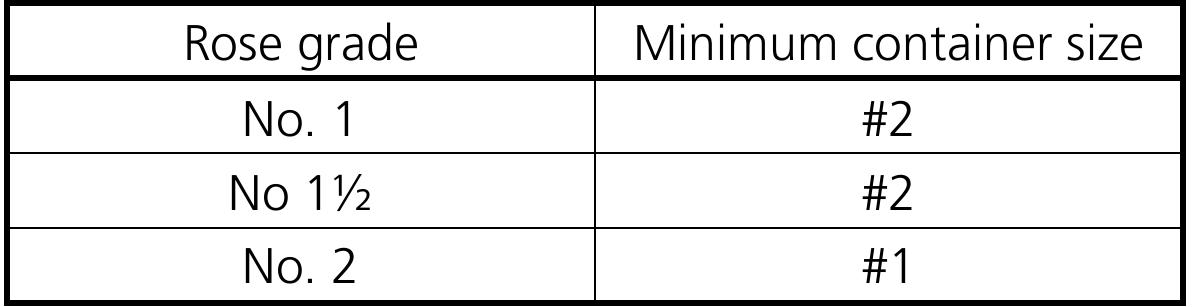 minimum container sizes for container grown roses