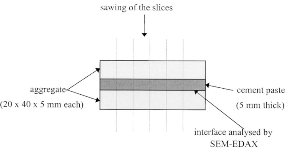 Schematic representation of test specimen for sem-edax