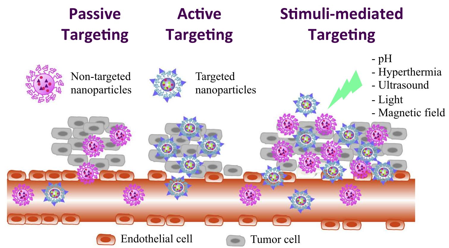 Schematic representation of different targeting strategies.
