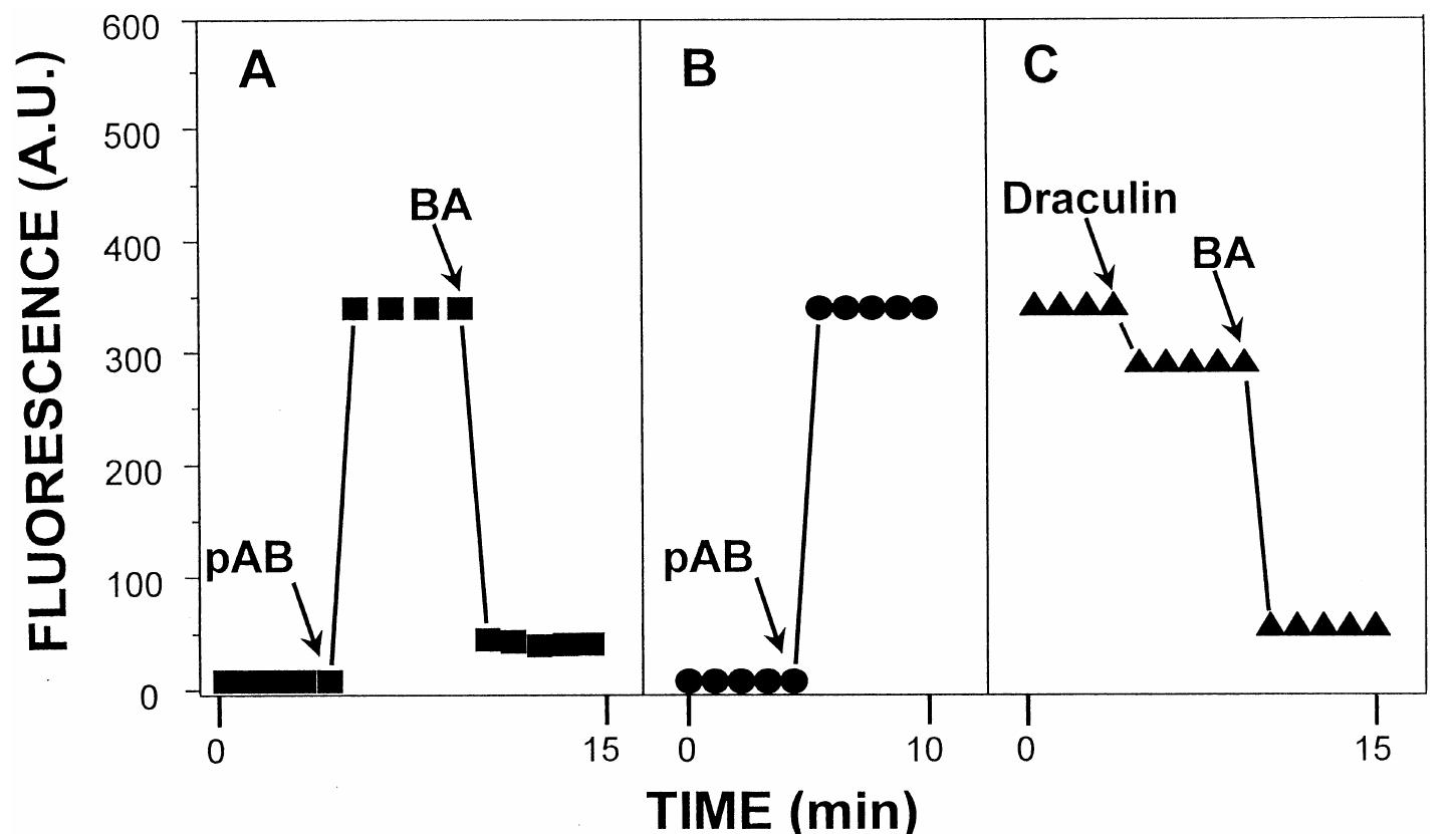 (PDF) Draculin, the anticoagulant factor in vampire bat saliva, is a ...
