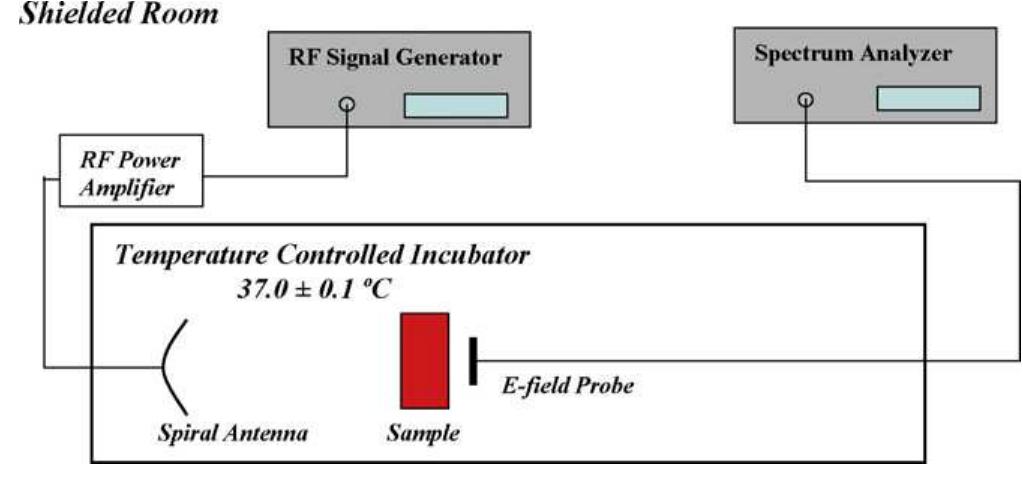 A block diagram for exposing the hba samples.