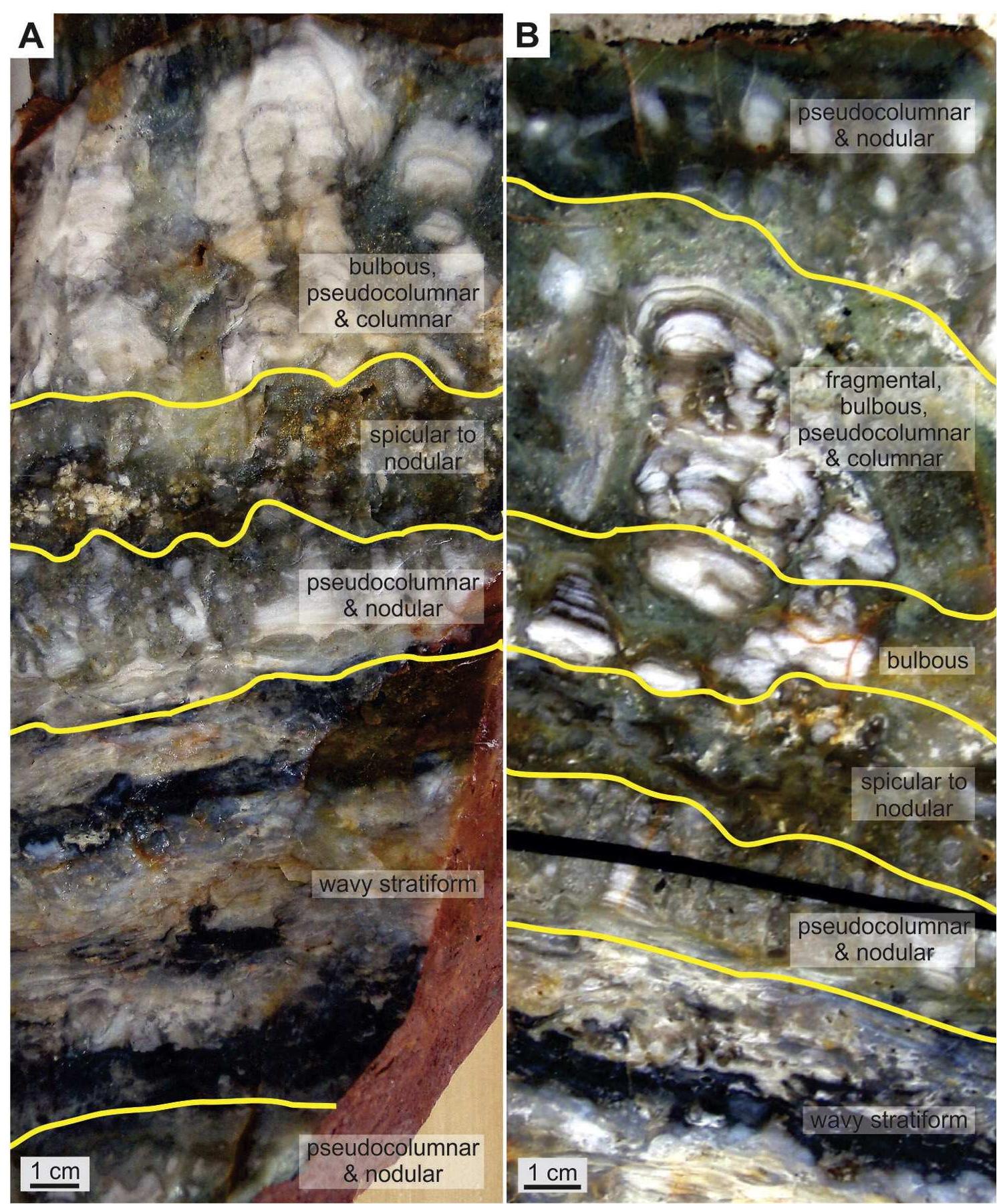 Polished rock slabs from late jurassic, ex situ, loma alta