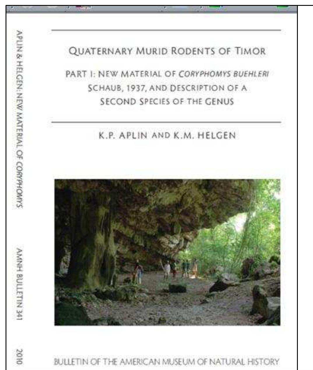 Figure 9 - Timor-Leste: Terrestrial fauna - general