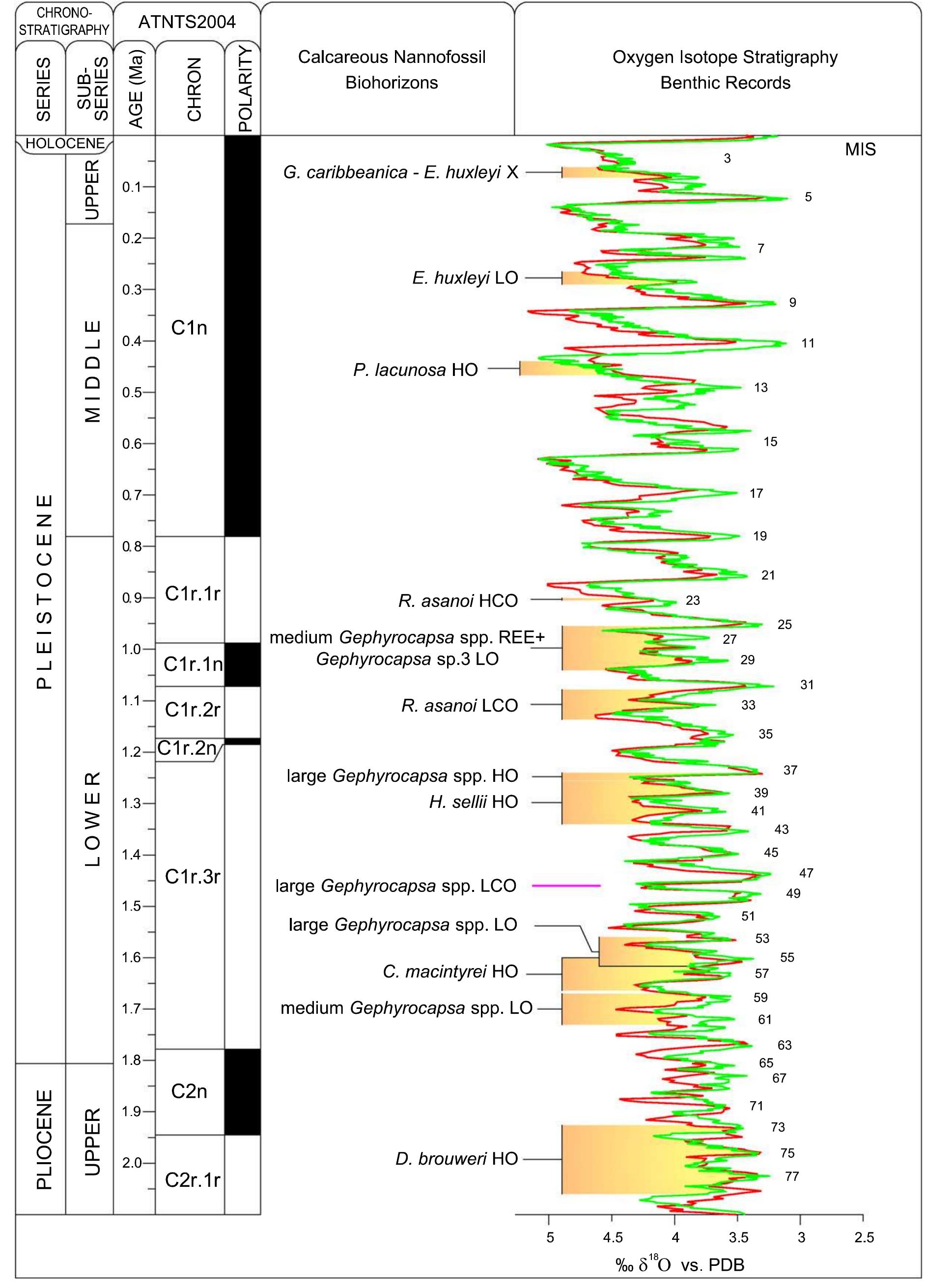 Summary of the positions of the biohorizons in the time