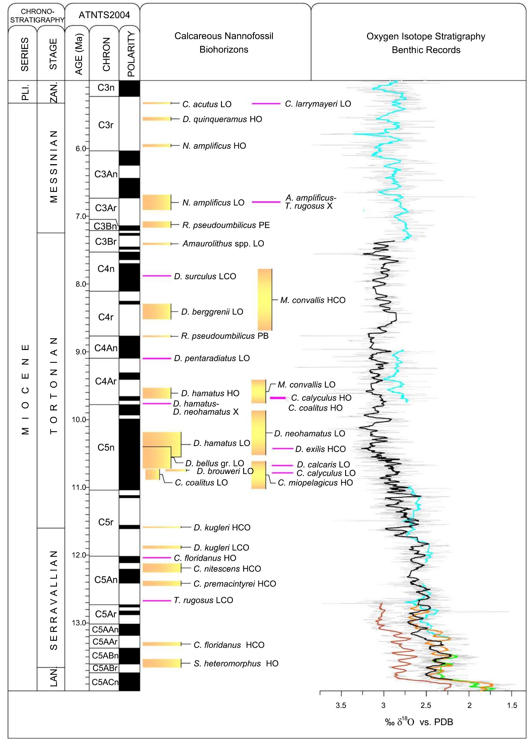 Summary of the positions of the biohorizons in the time