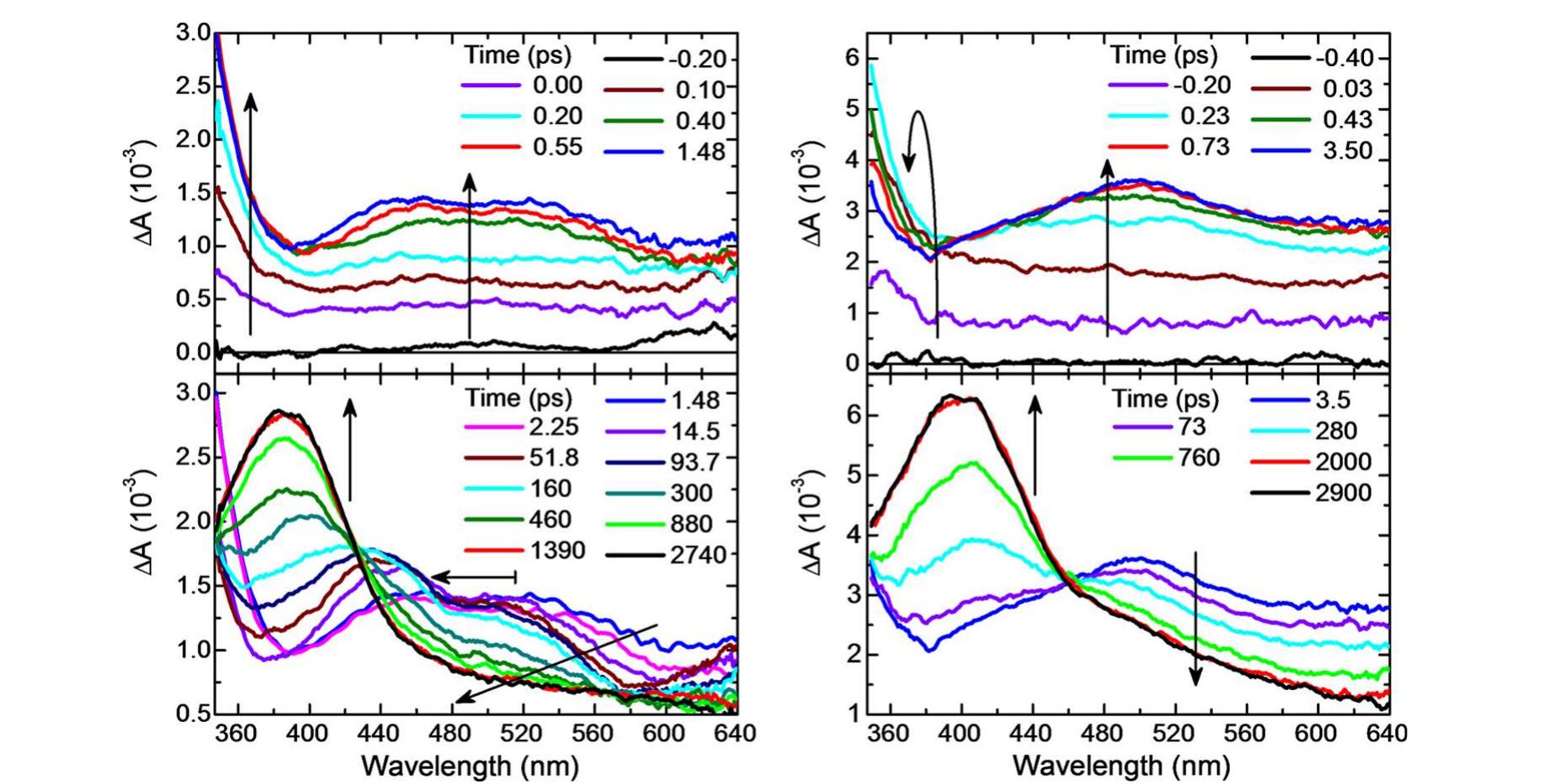 Transient absorption spectra of the purine free base in