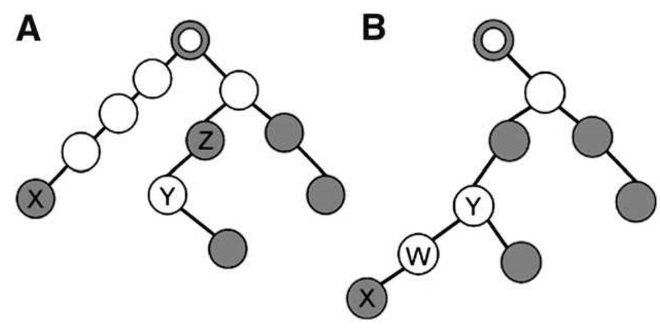 Finding reversion mutations in a tree. (a) the original