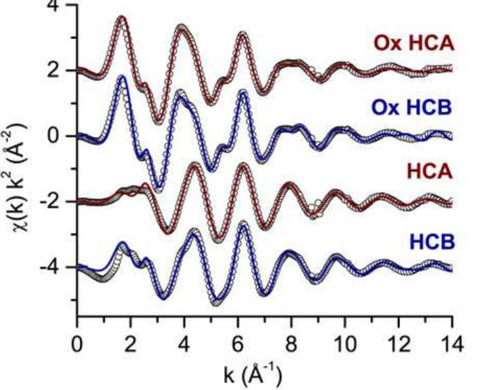 Ni k-edge exafs spectra (symbols) and model (line) from