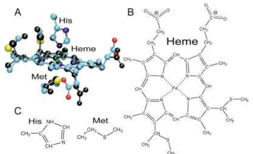 Chemical structure of the heme prosthetic group. (a) x-ray