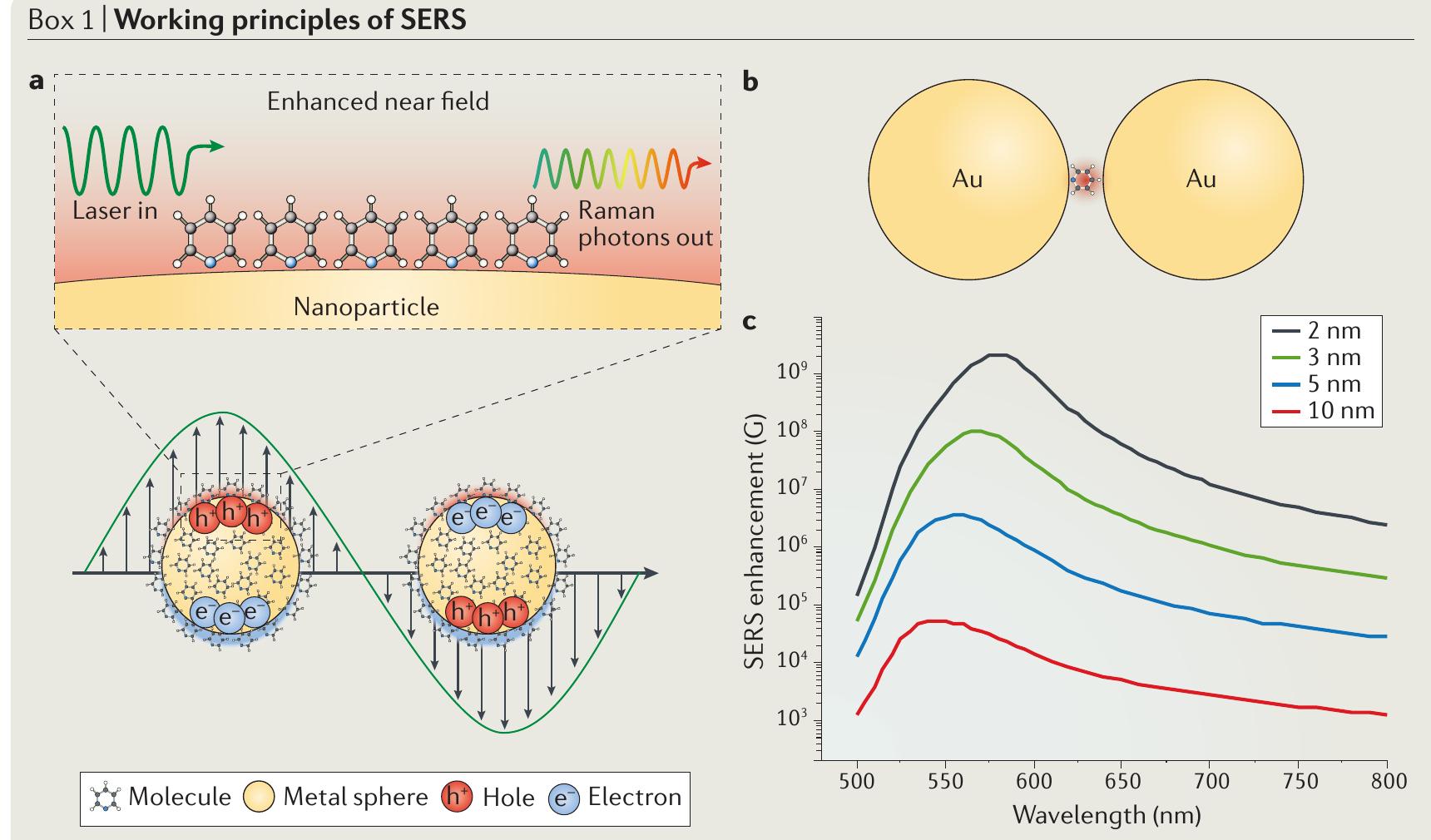 Figure 1 - from Nanostructure-based plasmon-enhanced Raman