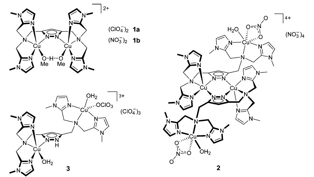 Schematic representation of copper complexes of ligand l