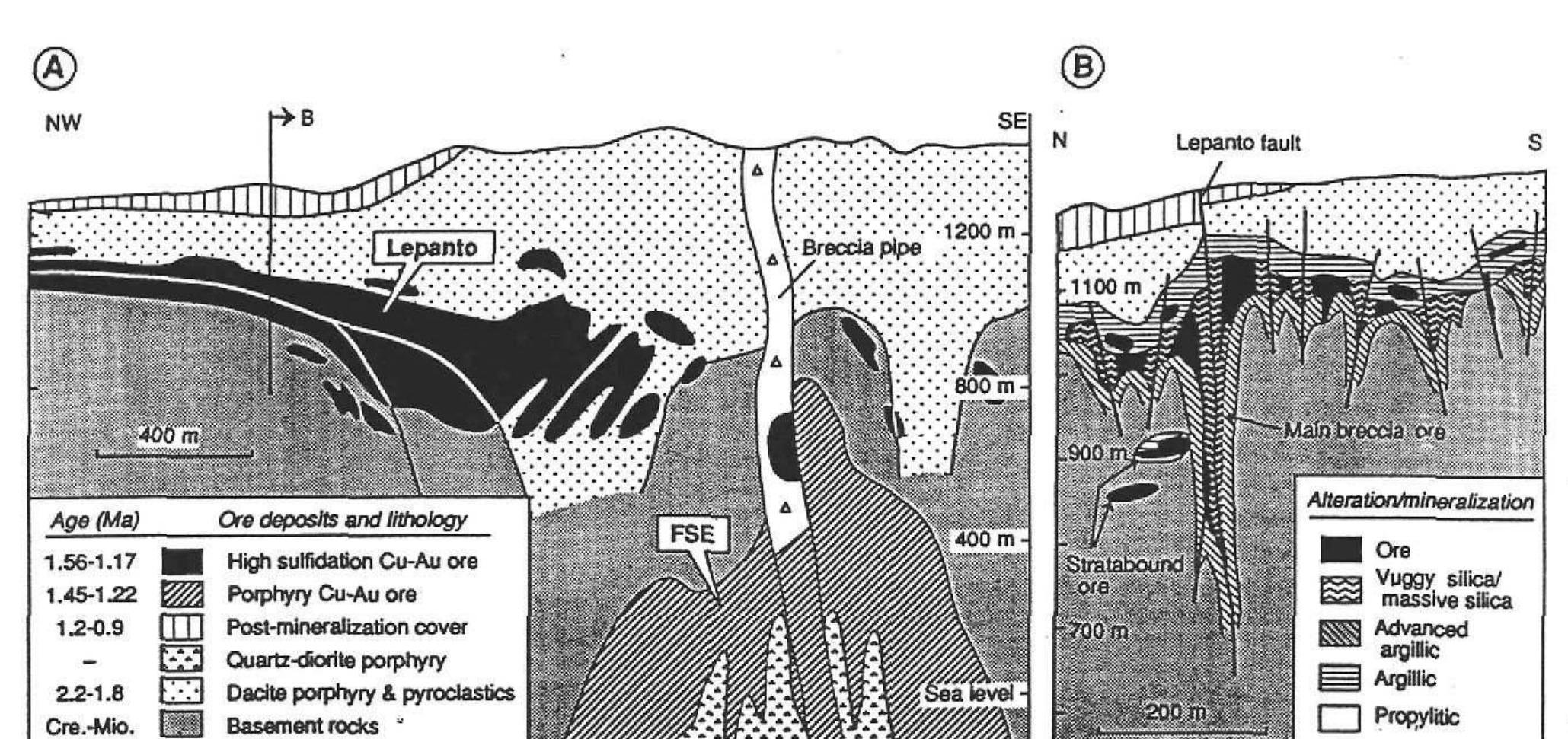 Longitudinal (a) and transverse (b) cross-sections of the