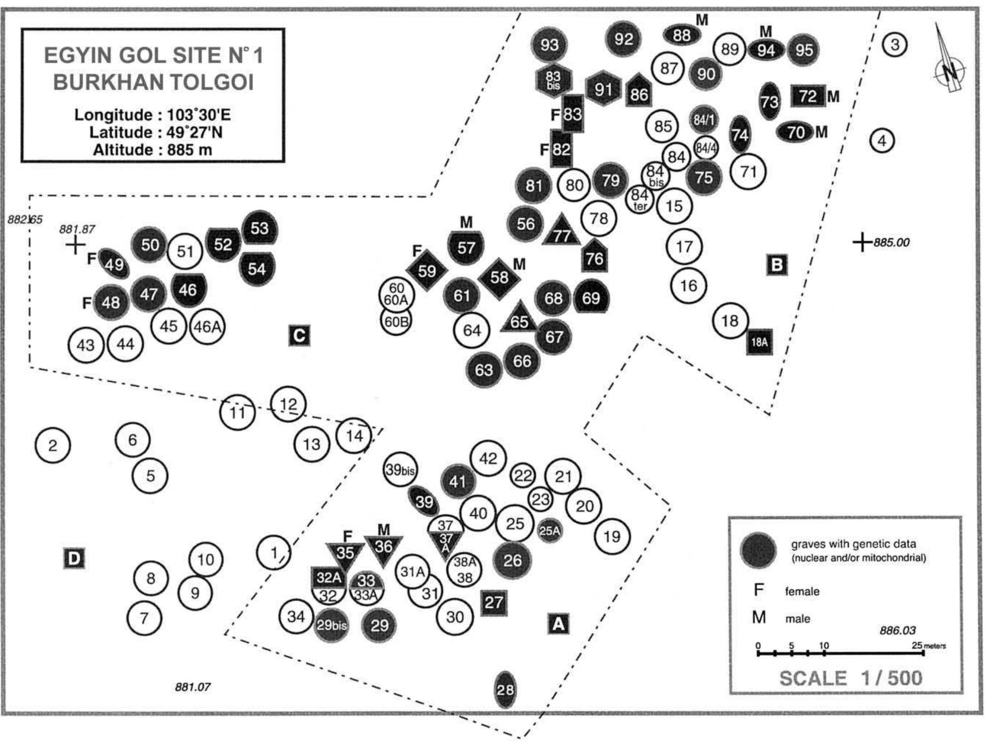 Map of the necropolis showing the mtdna sequences data.