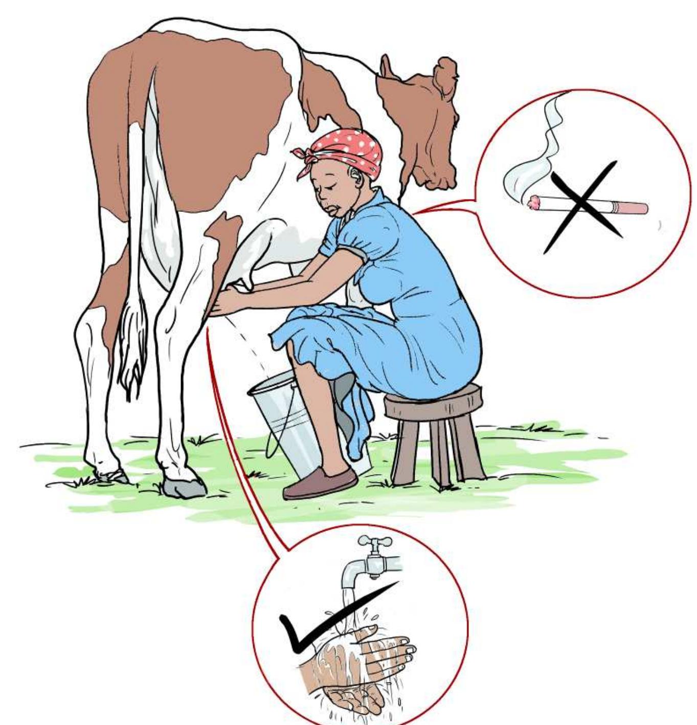 (PDF) Dairy Farmers Training Manual Dairy Farmers Training Manual ...