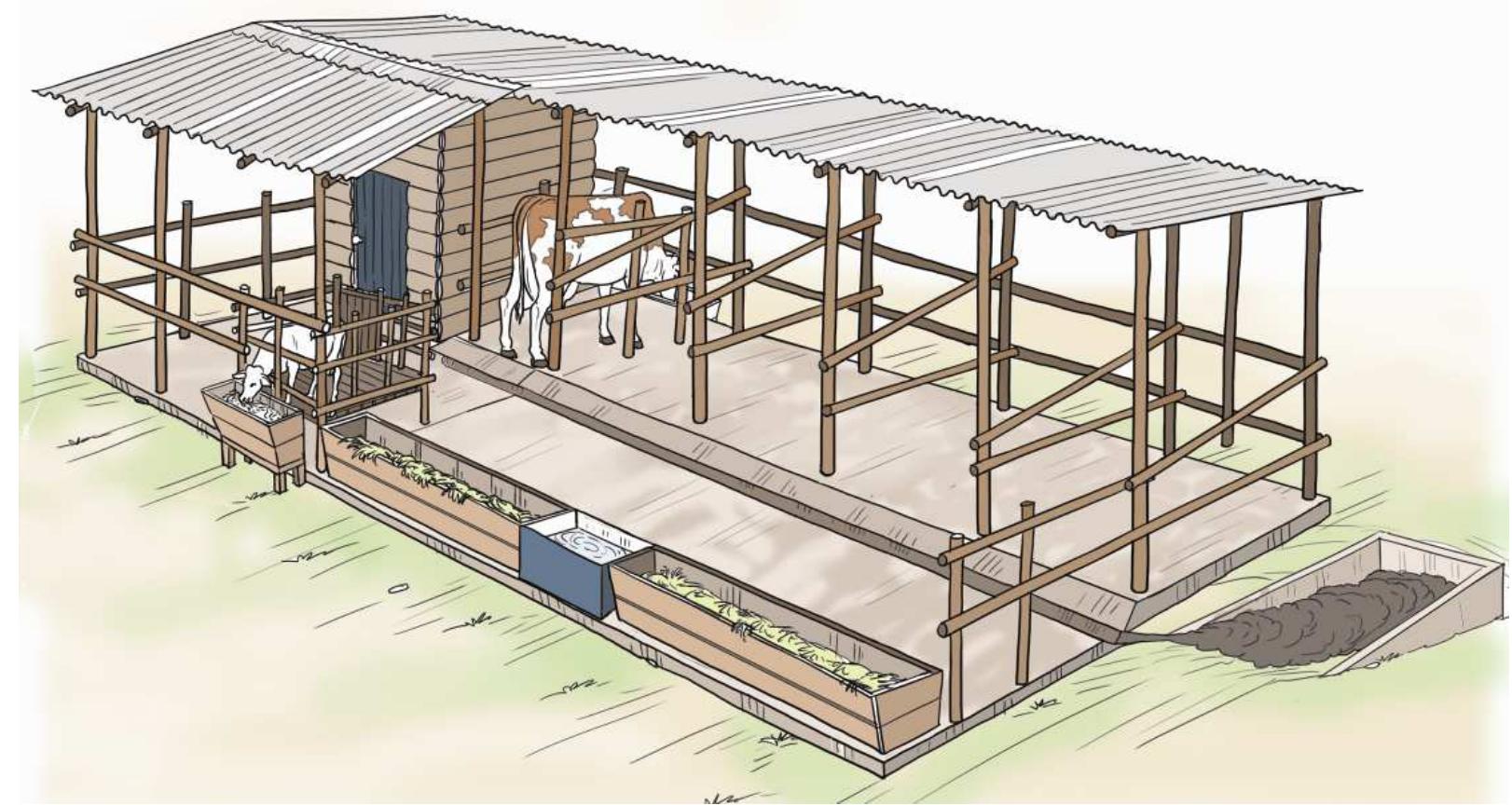 A zero grazing unit complete with a sun shade structure