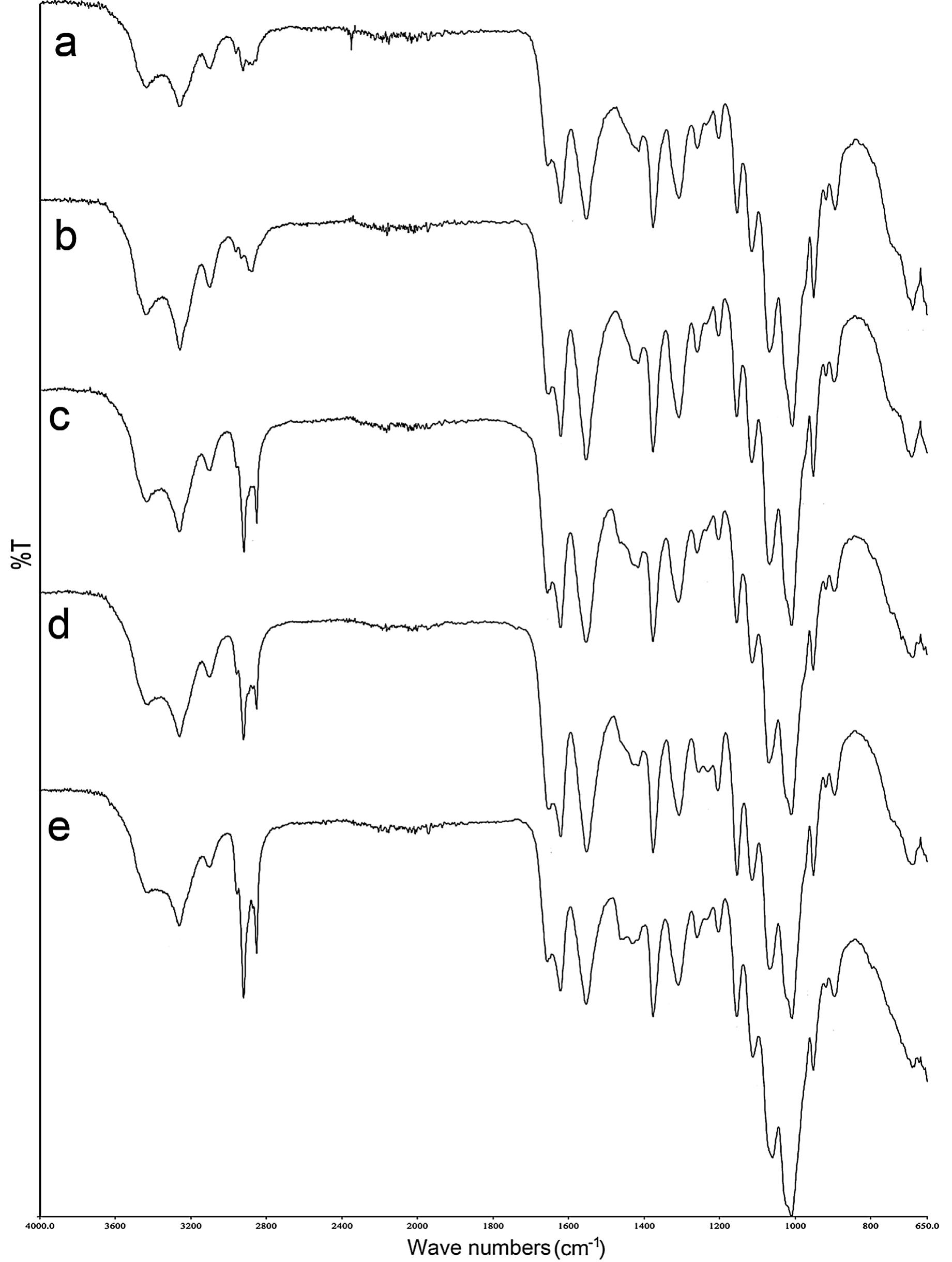 The ftir spectra of chitin prepared from honeybee: (a) head,