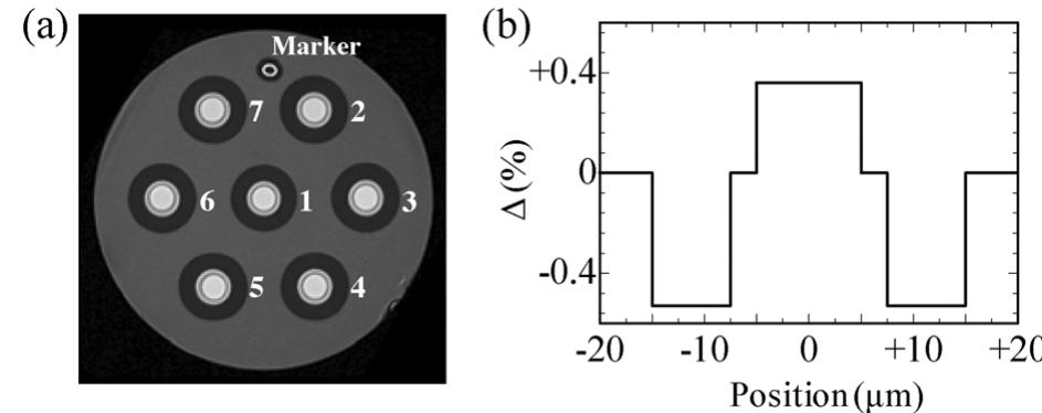 Structure of homogeneous 7-core fiber. (a) facet view and