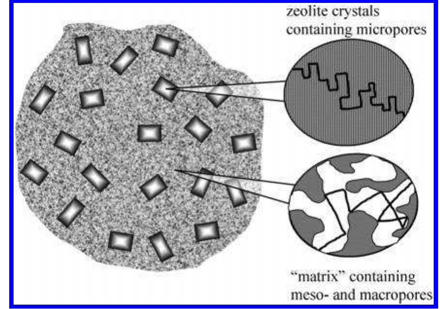 Schematic presentation of a particle of a typical fcc