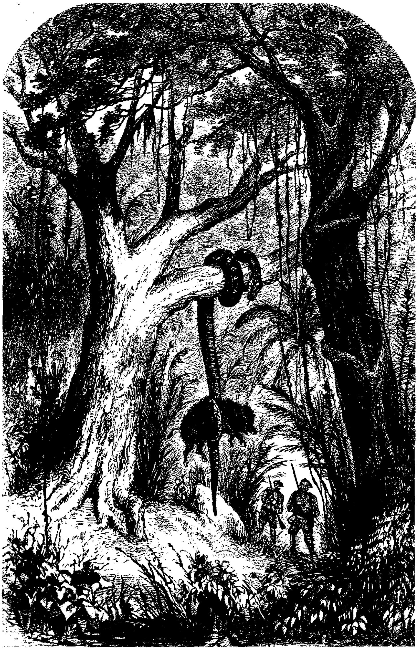 , in the philippines, a reticulated python, python